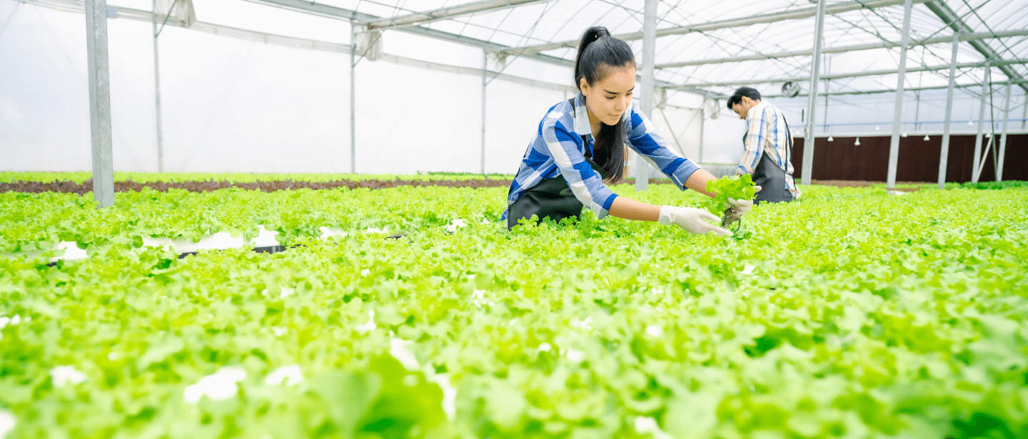 Sustainability & ESG reporting tips | Berkeley Partnership | Berkeley Partnership