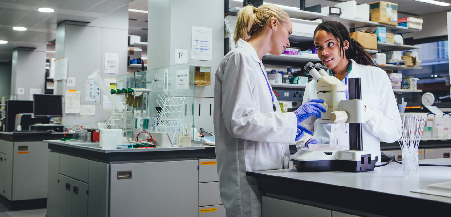 Pharmaceuticals and medical | Berkeley Partnership