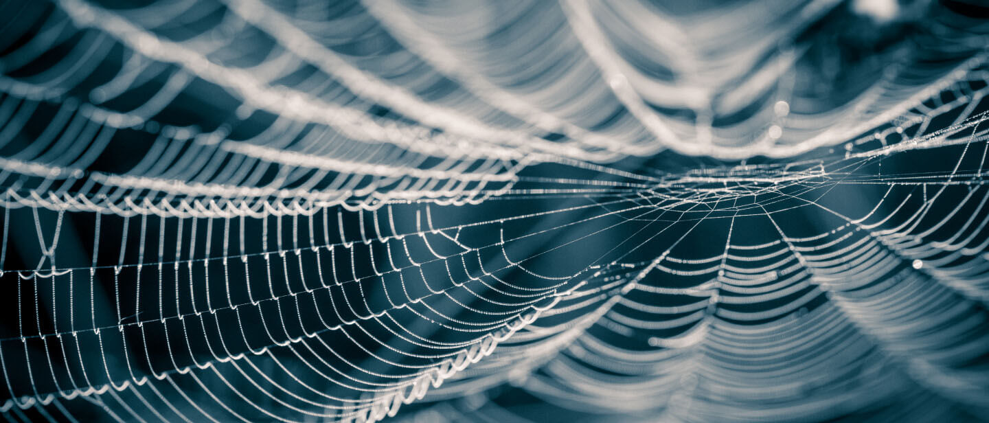 Keeping a grip on complex programmes | Berkeley Partnership
