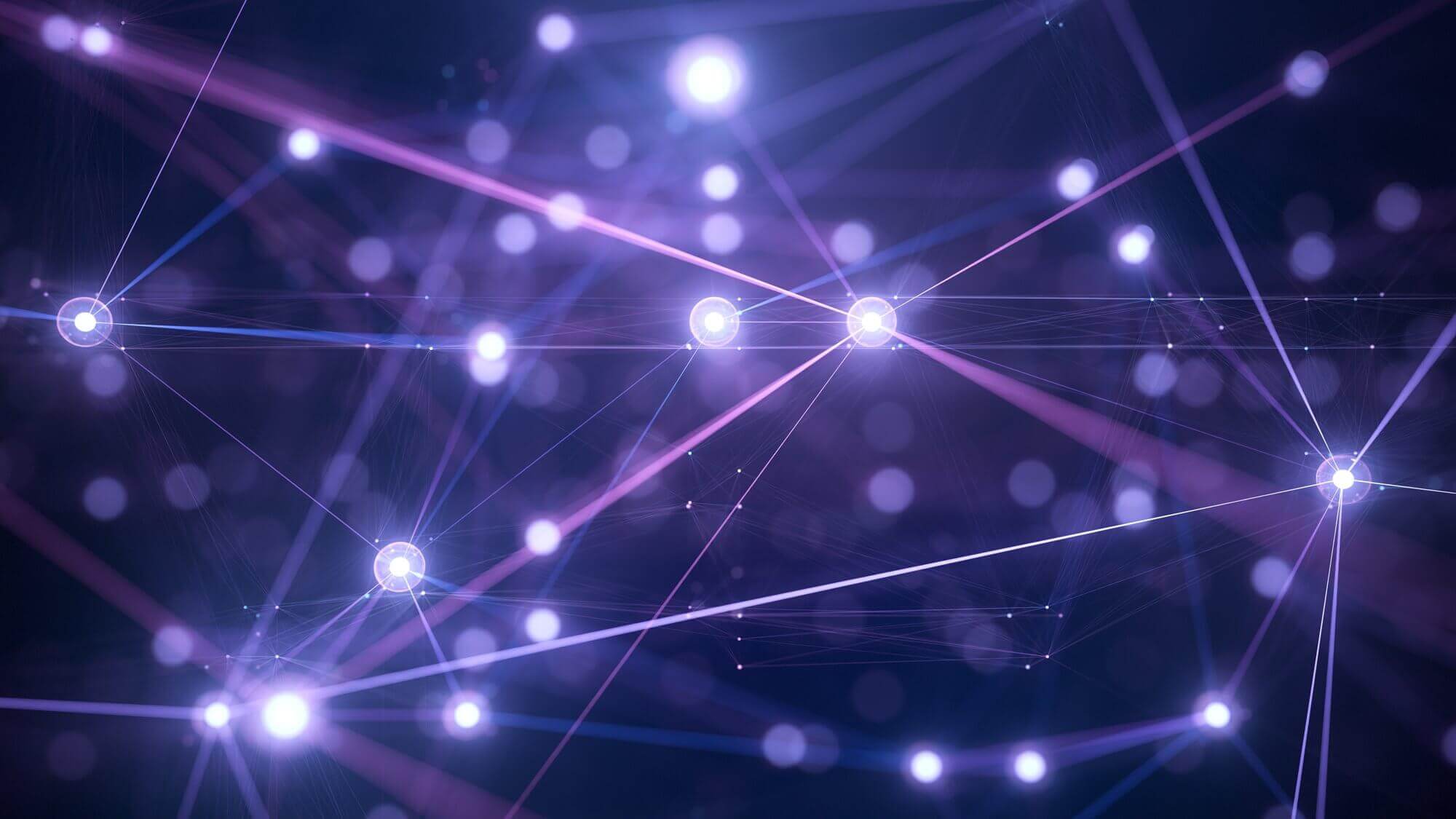 ERP program delivery consulting | Berkeley Partnership