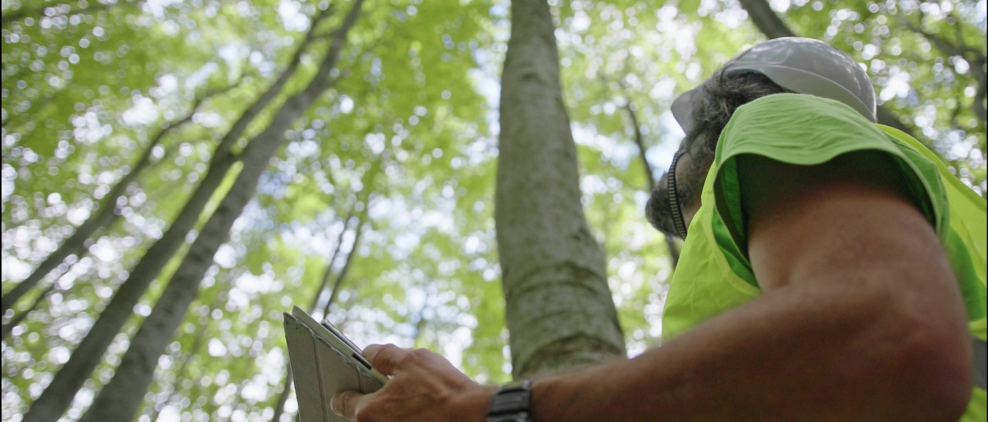 ESG and sustainability transformation | Berkeley Partnership